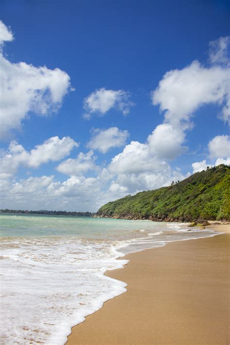 해변 배경 해변에서 Pixabay의 무료 사진 Pixabay