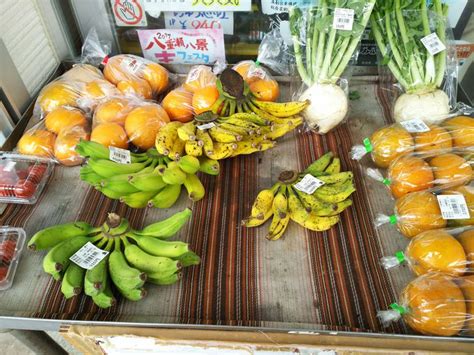 新鮮な海鮮丼が美味！沖縄の小さな離島・奥武島「いまいゆ市場」 沖縄県 トラベルjp 旅行ガイド