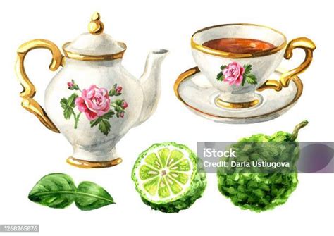 찻주전자 차 한 잔 베르가못 과일 슬라이스 세트 흰색 배경에 고립 된 손으로 그린 수채화 그림 건강관리와 의술에 대한 스톡 벡터 아트 및 기타 이미지 Istock