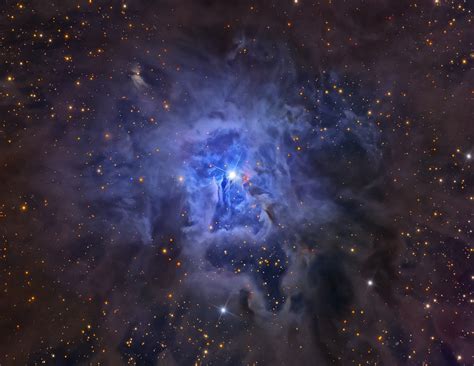 Iris Nebula Aspergers And Autism Forum
