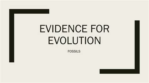 Relative And Absolute Dating Pptx