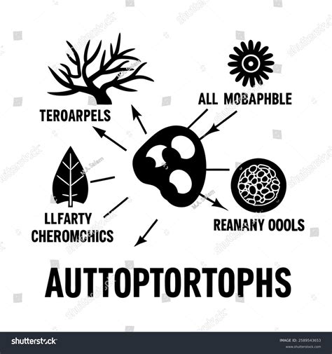 Autotrophs Definition Types Importance Stock Vector Royalty Free