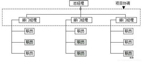 软件开发过程与项目管理（10 软件项目人员与沟通计划） 软件项目管理团队人员和项目沟通计划 csdn博客