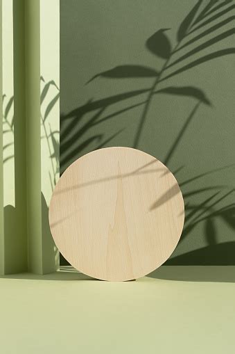 야자수 잎의 그림자가있는 추상적 인 녹색 배경에 나무 연단 기하학적 배경이 있는 장면입니다 제품 프레젠테이션을 위한 배경입니다 0명에 대한 스톡 사진 및 기타 이미지