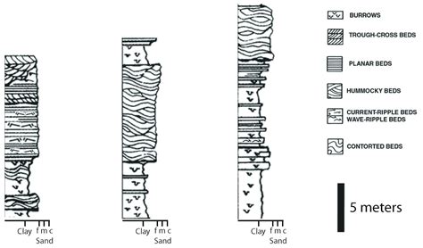 Dawns Sed Strat Lecture Notes Interpreting Stratigraphic Columns