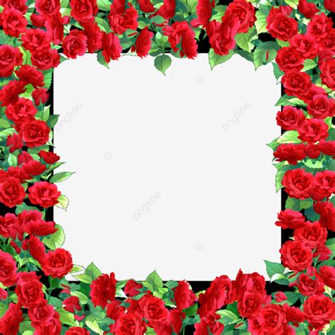 사각 프레임 빨간 장미 꽃 정사각형 붉은 장미 정사각형 테두리 Png 일러스트 및 Psd 이미지 무료 다운로드 Pngtree