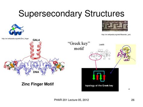 ppt secondary structure assignment from structure powerpoint