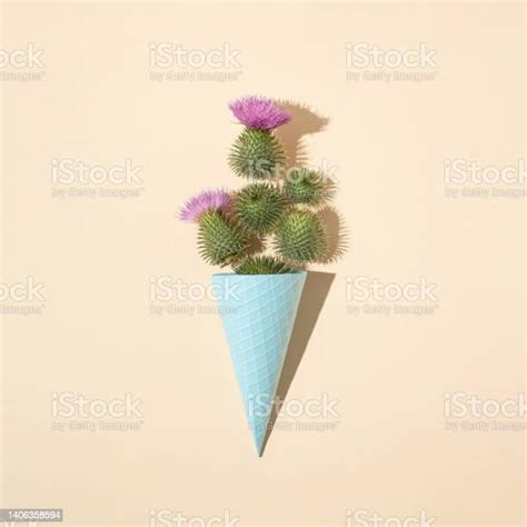 모래 색 배경에 아이스크림 콘이있는 햇볕이 잘 드는 선인장 음식과 자연을 가진 창조적 인 최소한의 개념 사막에 대한 스톡 사진