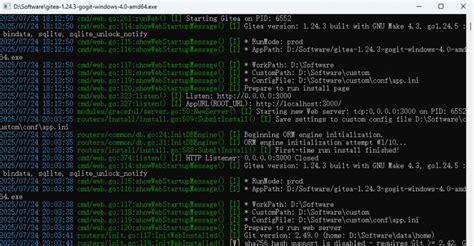本地部署代码托管解决方案 Gitea 并实现外部访问（ Windows 版本） 帮助中心 路由侠