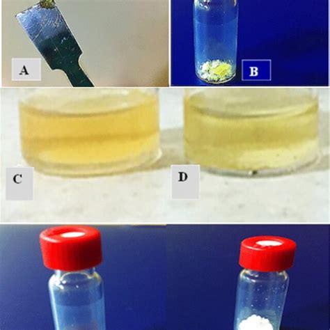 A Polymerization Of Nipaam For Producing α ω Difunctionalized Download Scientific Diagram