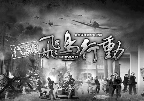代号飞鸟行动图册 360百科