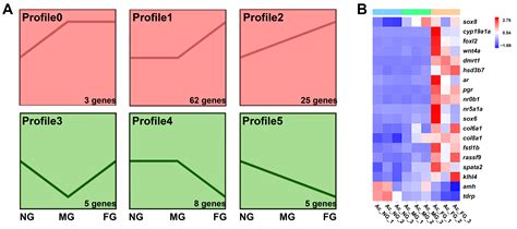 Ijms Free Full Text Transcriptome Profiling And Expression