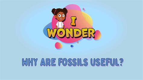 Why Are Fossils Useful Learningmole