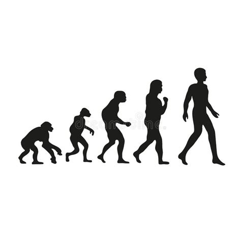 Evolution Drawing Easy