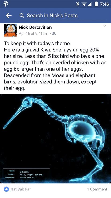 Pin By Nikko On Paleontology Paleontology University Of Alberta Biology