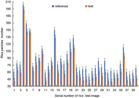 Comparison Of The Results Of The Number Of Rice Panicles Download Scientific Diagram