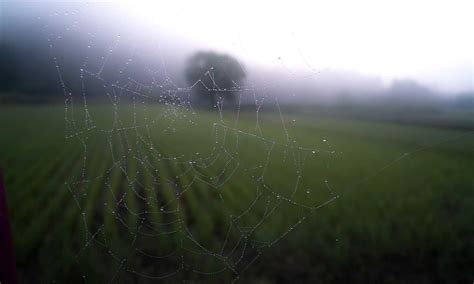 Mastering Data Structures And Algorithms For Performance — Association Of Registered Web