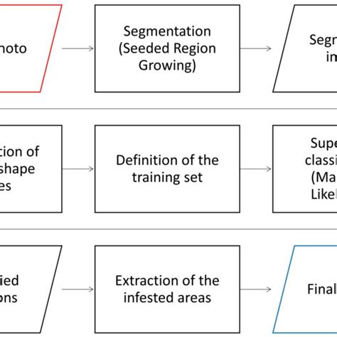 Workflow For The Object Based Image Analysis Weed Mapping Method Download Scientific Diagram