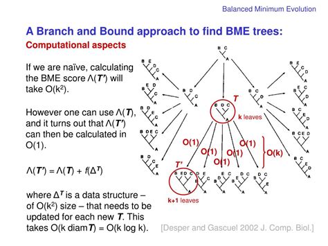 PPT The BME Criterion For Tree Reconstruction And A Branch And Bound
