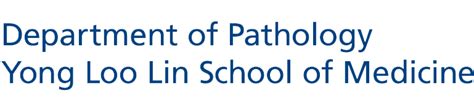 Tan Soo Yong Nus Pathology