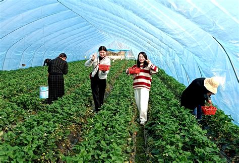 人工智能学院开展庆祝“三八”节户外活动 人工智能学院