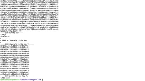 Create Ovpn File And Use It For Openvpn