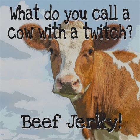 Jarens Jerky Happy Hump Day We Hope Everyone Is Having
