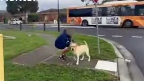 News Controversial Video Exposes Alleged Predatory Encounter