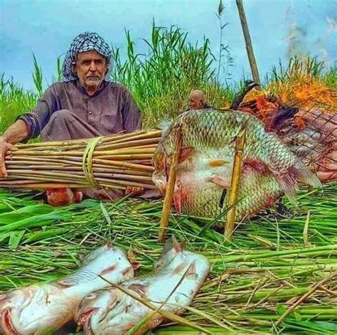 صيادين بغداد