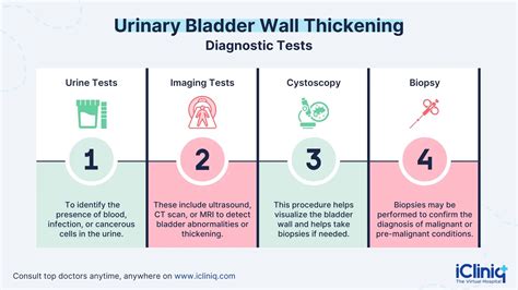 Thickening Of Bladder Wall International Neurourology Journal
