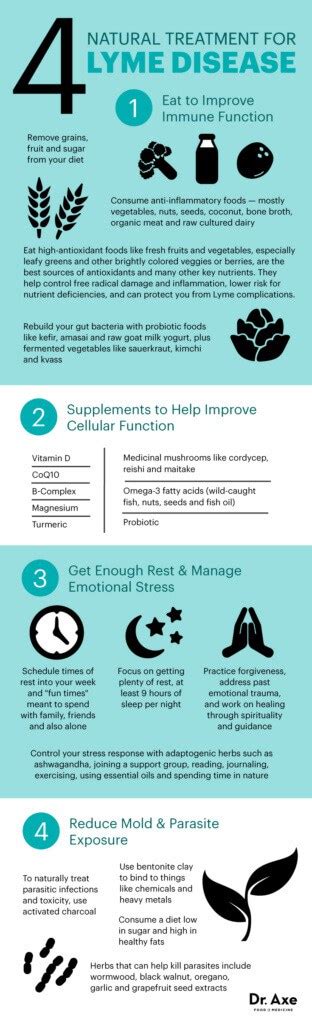 Lyme Disease Treatment Options Causes How To Prevent Dr Axe