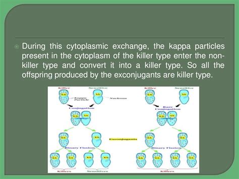 Cytoplasmic Inheritance