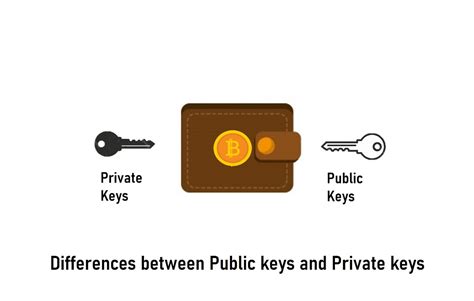 Differences Between Public Keys And Private Keys In Cryptocurrency Ox Currencies