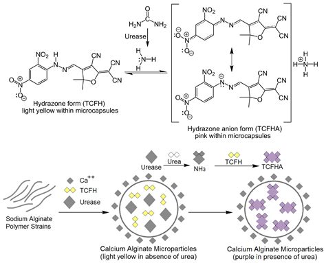 Recent Advances In Cellulose Based Biosensors For Medical Diagnosis