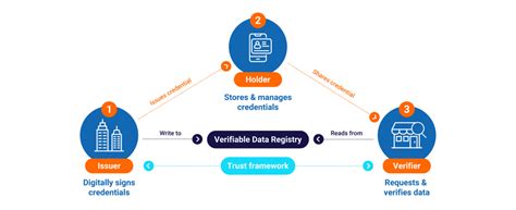 Blockchain Powered Verifiable Digital Credentials