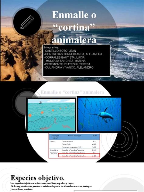 Redes De Enmalle Animaleras Pdf Materiales