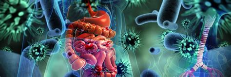 Fmt For C Diff Infection In Adults Gastroenterology And Endoscopy News