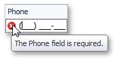 Data Annotation Attributes Winforms Controls Devexpress Documentation