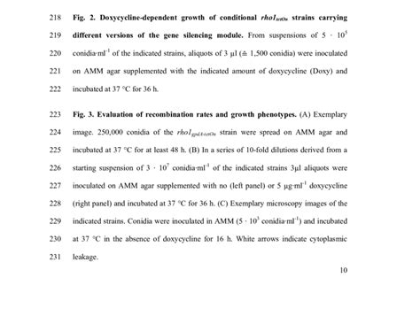 Figure Legends 208 Fig 1 Tet On Expression Systems For Conditional