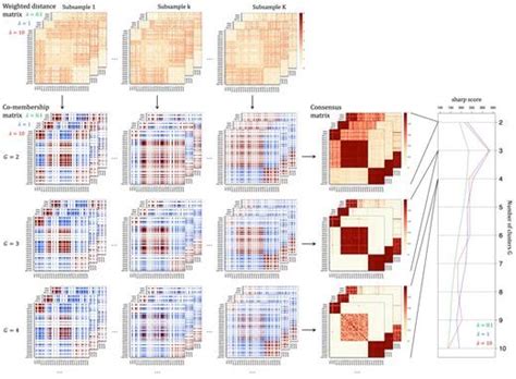 Automated Calibration Of Consensus Weighted Distance Based Clustering