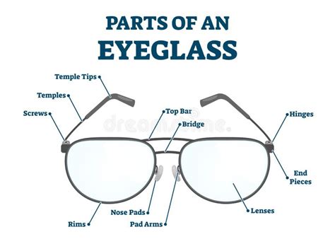 Parts Of The Eye Labeled Vector Illustration Diagram Stock Vector Illustration Of Health