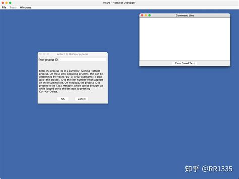 Java 内存分析工具 Jhsdb 知乎