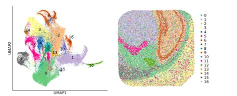 Illumina Spatial Transcriptomics Data From Curio Bioscience Is Now