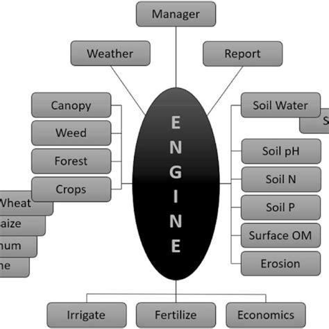 Statistical Indices Of Assessing The Performance Of Apsim Wheat Model Download Scientific