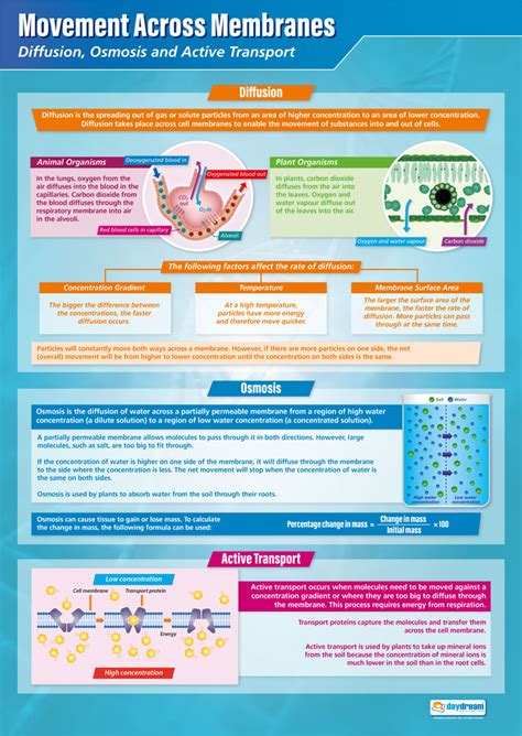 Movement Across Membranes Poster Science Posters Biology Posters Stem Charts For The