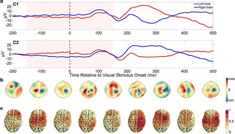 Neurophysiology A The Average Potential Of Eeg Sensors C1 Left Download Scientific Diagram