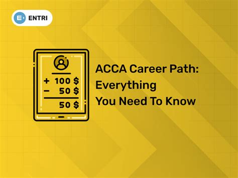 Acca Career Path Everything You Need To Know Entri Blog