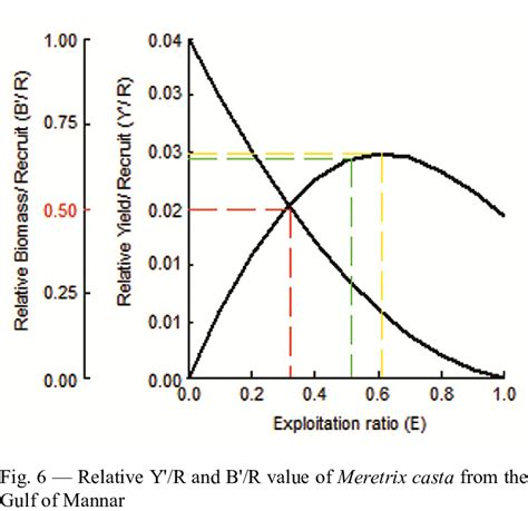 Length Structured Virtual Population Analysis Of Meretrix Casta Download Scientific Diagram