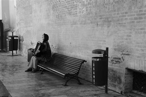 Street Music Accordion Free Photo On Pixabay Pixabay