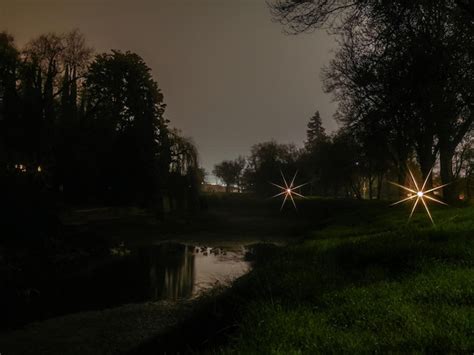 Premium Photo Reflection Of Trees In Water At Night